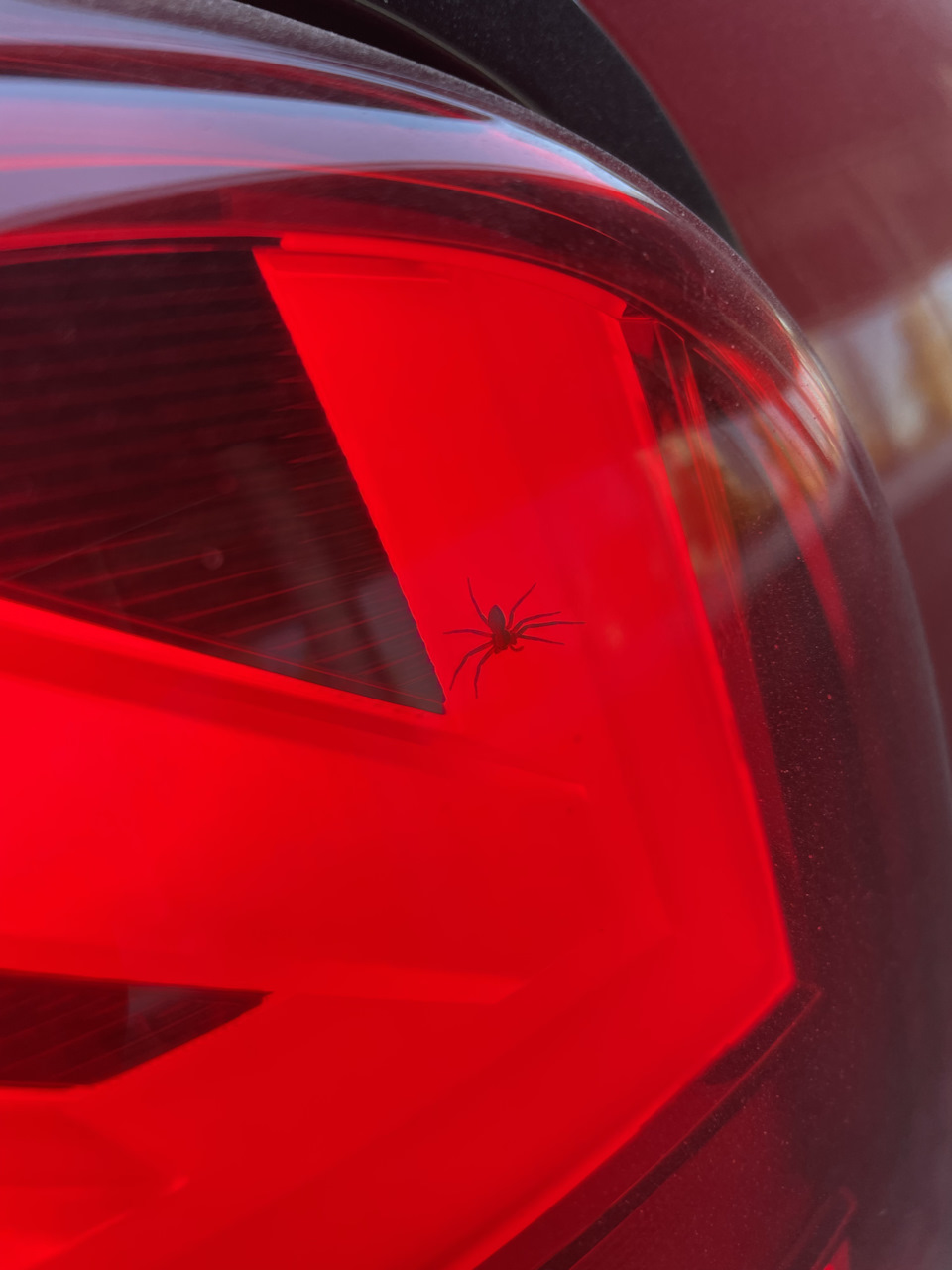 Ladybug 🐞 vs Spider-Man — MINI John Cooper Works, 2 л, 2021 года ...
