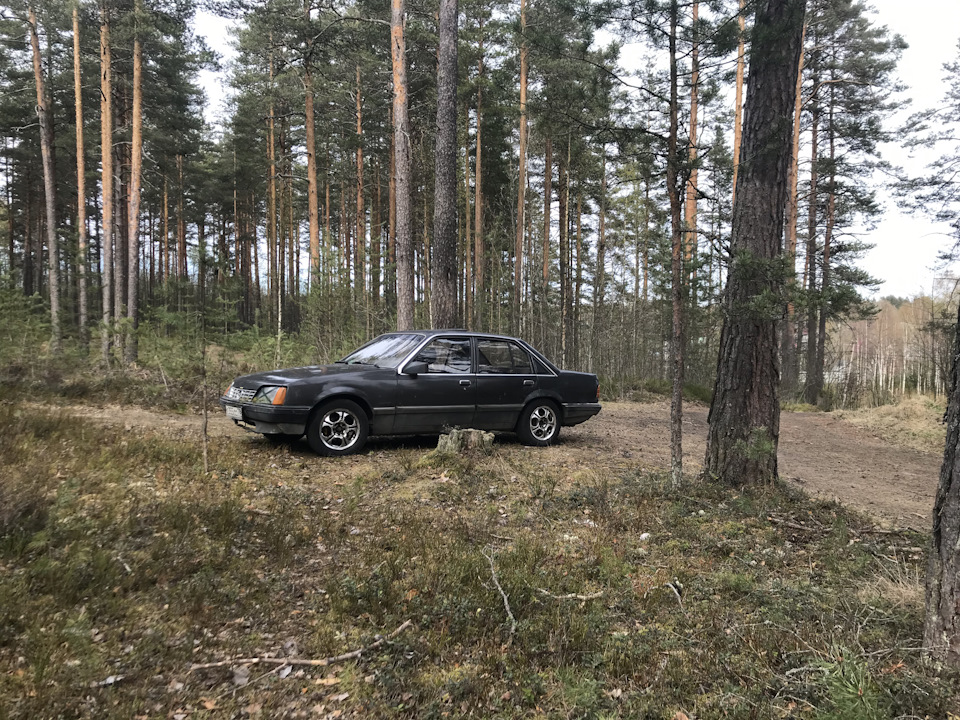 Поездка в 200+км — Opel Rekord E, 2 л, 1986 года | путешествие | DRIVE2