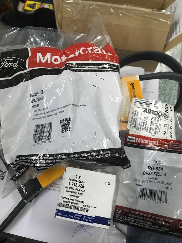 Обычное ТО, жидкость ГУР + замена термостата — Ford Fiesta (Mk V), 1,2 ...