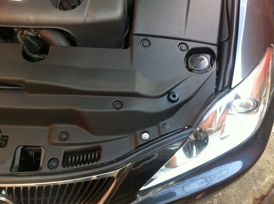 Помыл авто и устранил мелкие недочеты — Lexus IS II, 2,5 л, 2008 года ...