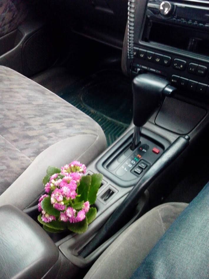 Подарок для жены — Toyota Corona (T190), 1,8 л, 1994 года | аксессуары ...