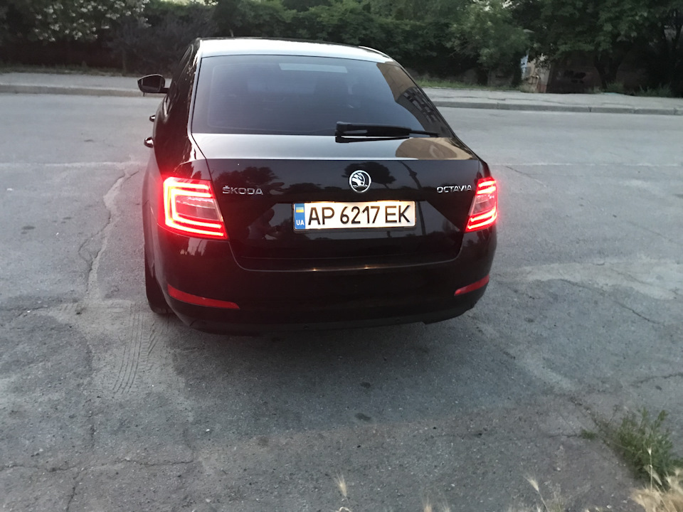 Диодные фонари LED — Skoda Octavia A7 Mk3, 1,4 л, 2014 года | стайлинг ...