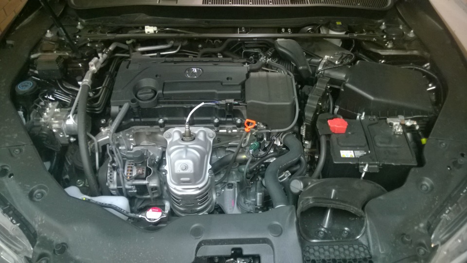 под капотом K24W7 — Acura TLX (1G), 2,4 л, 2014 года | фотография | DRIVE2