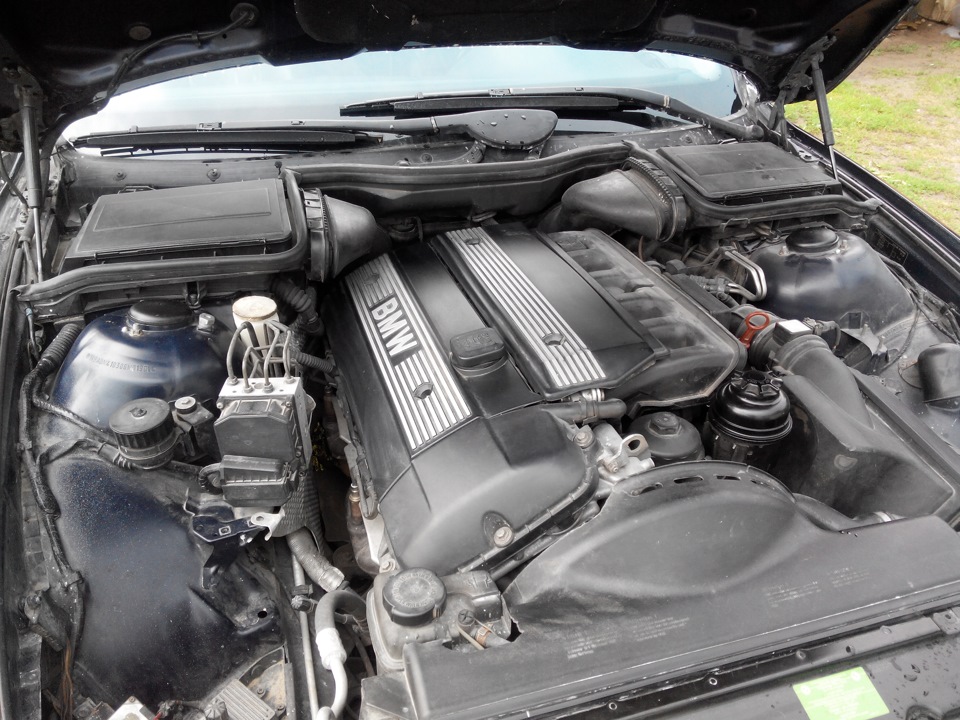 Мелочь, а приятно… — BMW 5 series (E39), 2,5 л, 1999 года | аксессуары ...