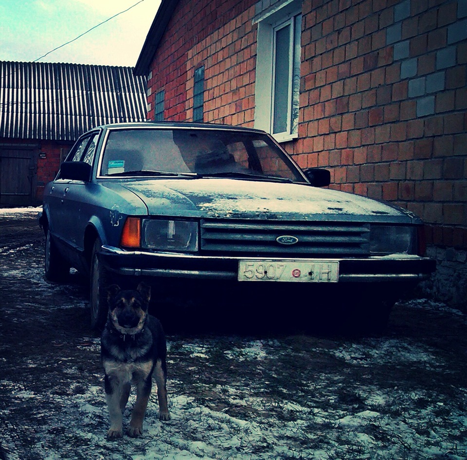 фотки — Ford Granada Mark II, 2,3 л, 1983 года | фотография | DRIVE2