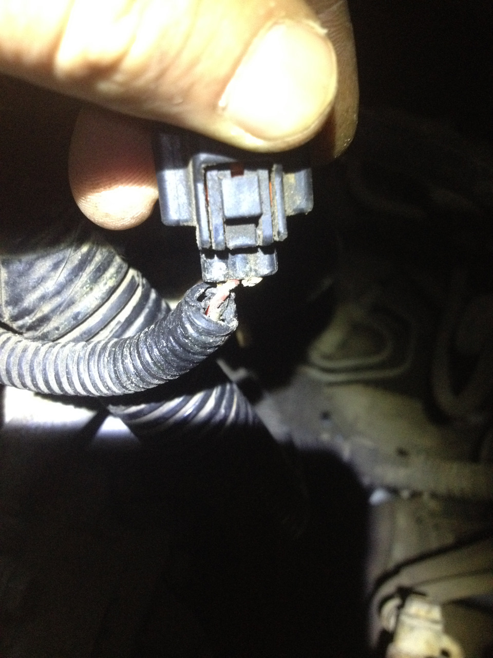 40. Причина предыдущей записи. — Nissan Almera II (N16), 1,5 л, 2004 ...