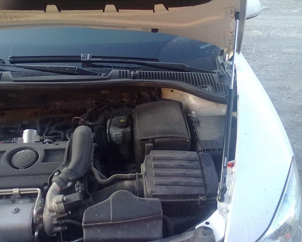 Газовый упор капота — Skoda Octavia A5 Mk2, 9,9 л, 2010 года | просто ...