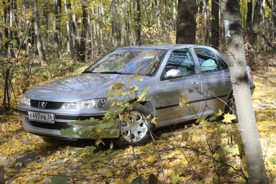 Лев на Охоте — Peugeot 406, 2 л, 2001 года | фотография | DRIVE2