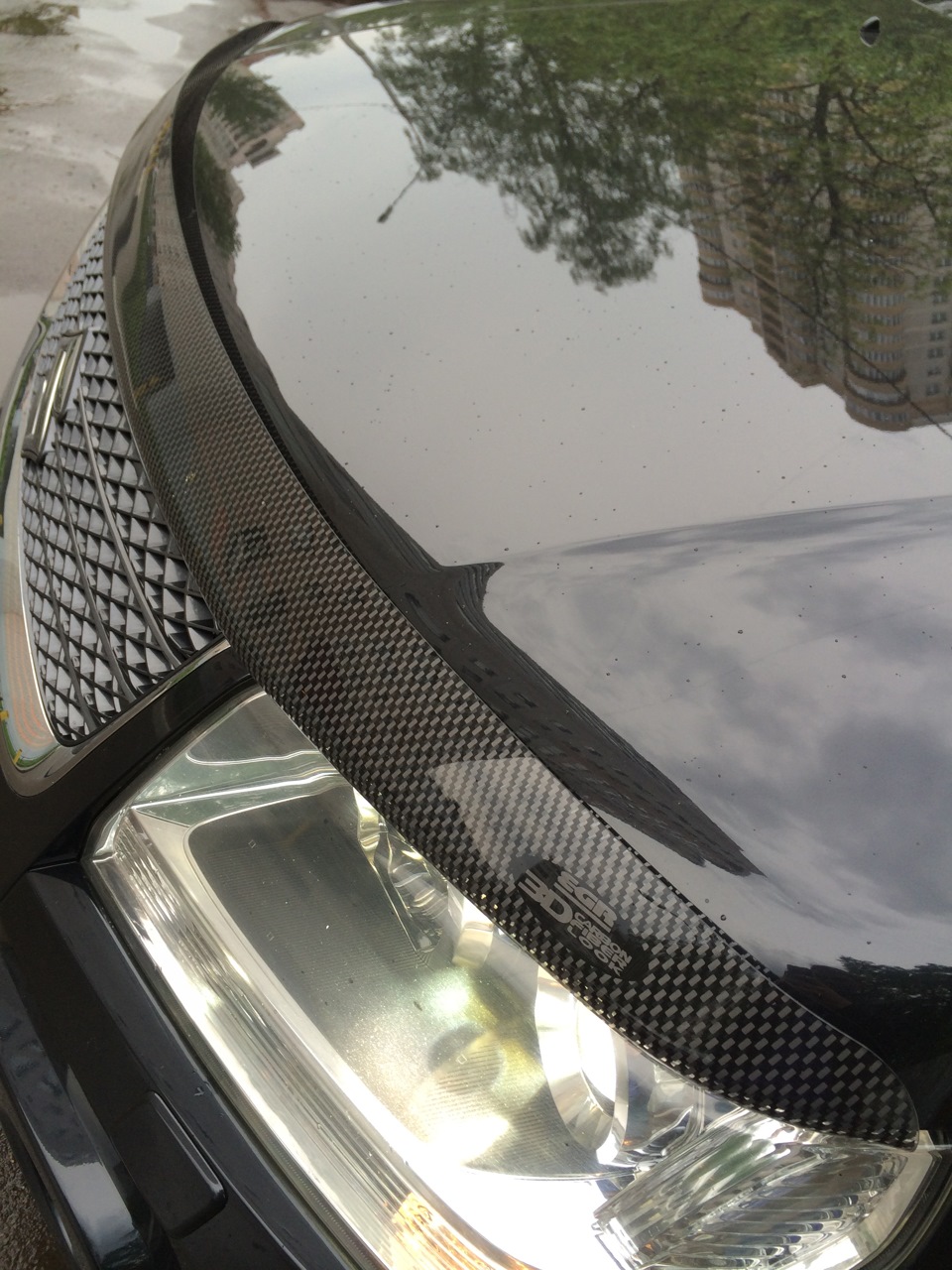Отбойник на капот. — Suzuki Grand Vitara (2G), 3,2 л, 2008 года ...