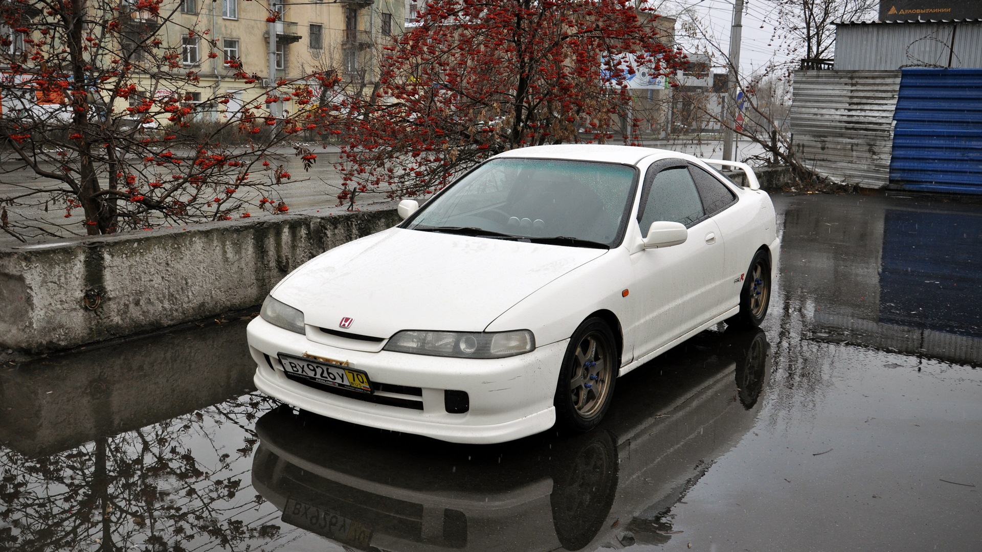 Honda Integra Type R (DC2) 1.8 бензиновый 2000 | Championship White на ...