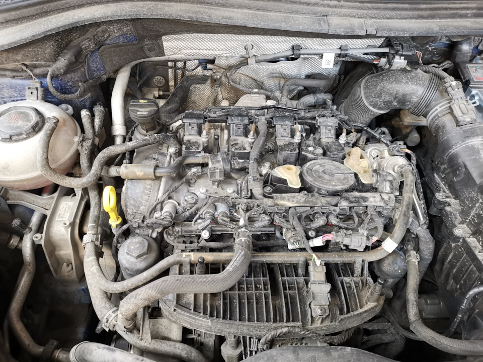 Замена маслосъемных колпачков №1 — Skoda Kodiaq (1G), 2 л, 2019 года ...