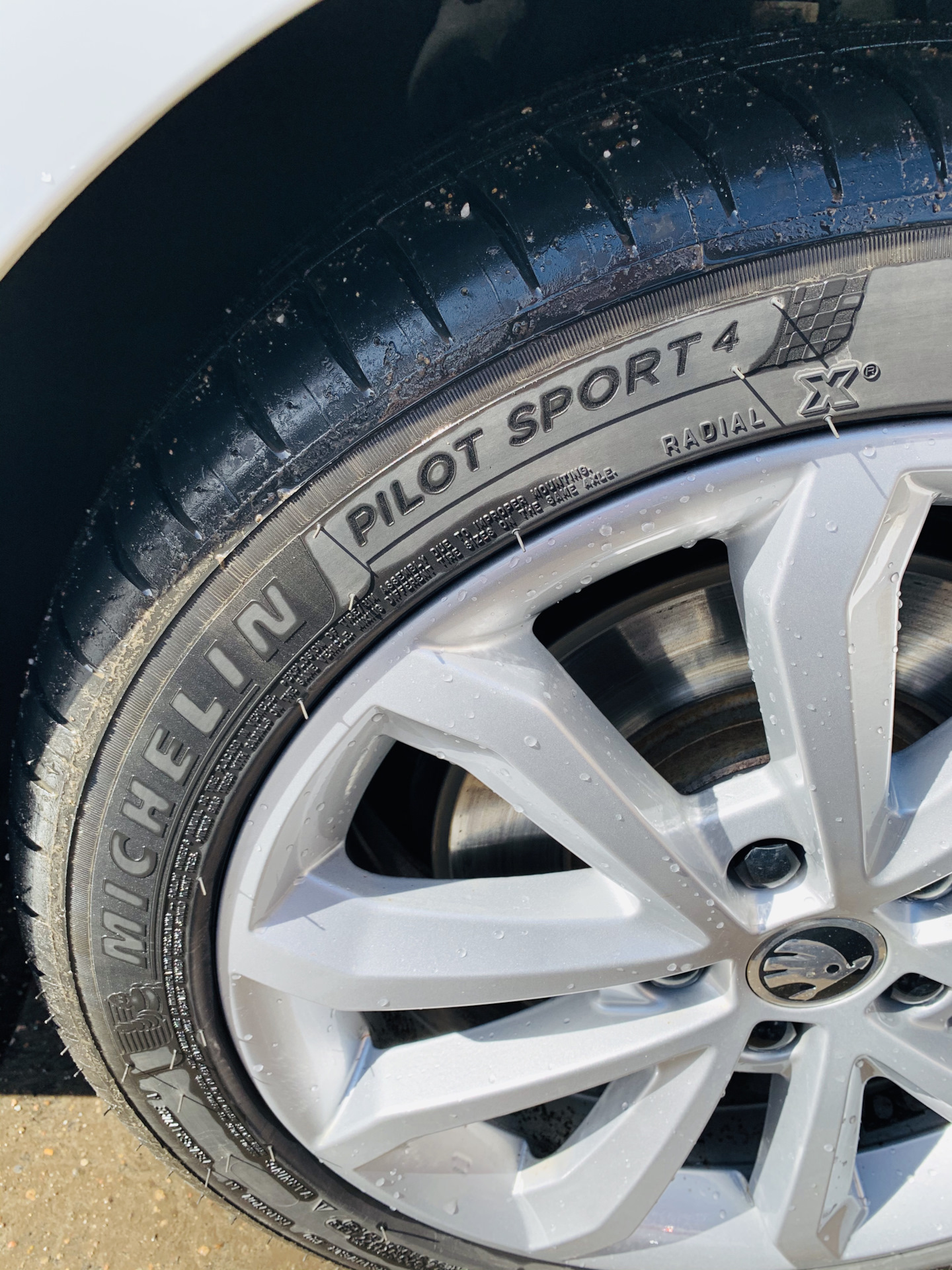 Michelin PS4 — Skoda Octavia A7 Mk3, 1,8 л, 2017 года | тюнинг | DRIVE2