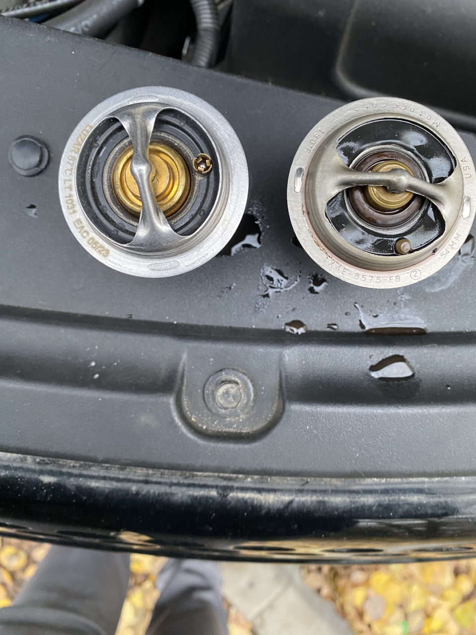 LT1031 Фильтр АКПП с прокладкой LYNXauto | Запчасти на DRIVE2