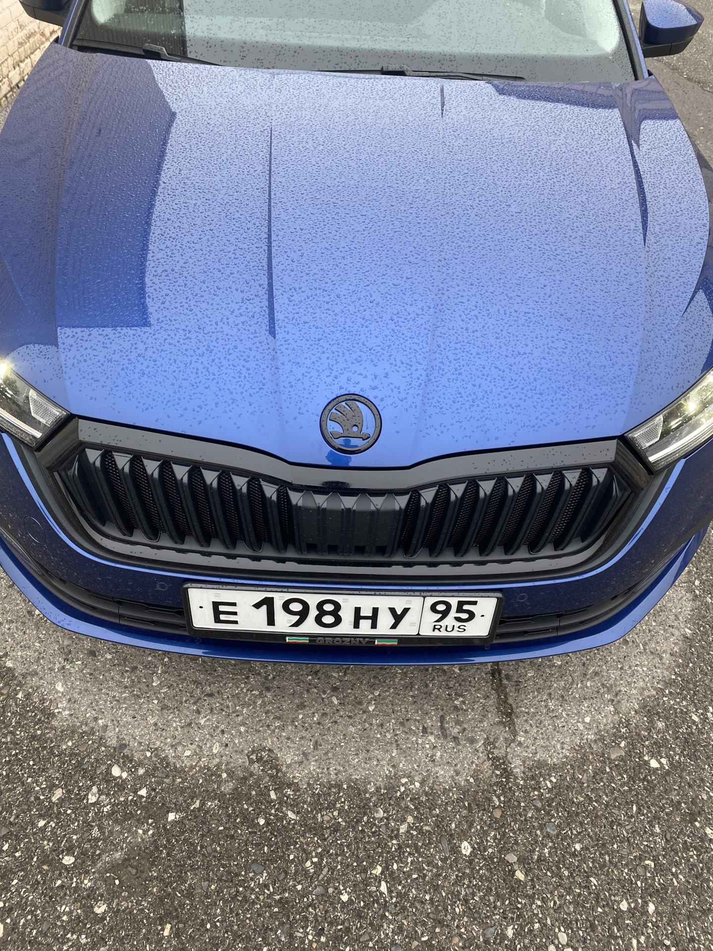 Эмблема — Skoda Octavia A8 Mk4, 1,4 л, 2020 года | тюнинг | DRIVE2