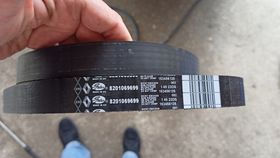 8201069699 Ремень зубчатый RENAULT | Запчасти на DRIVE2