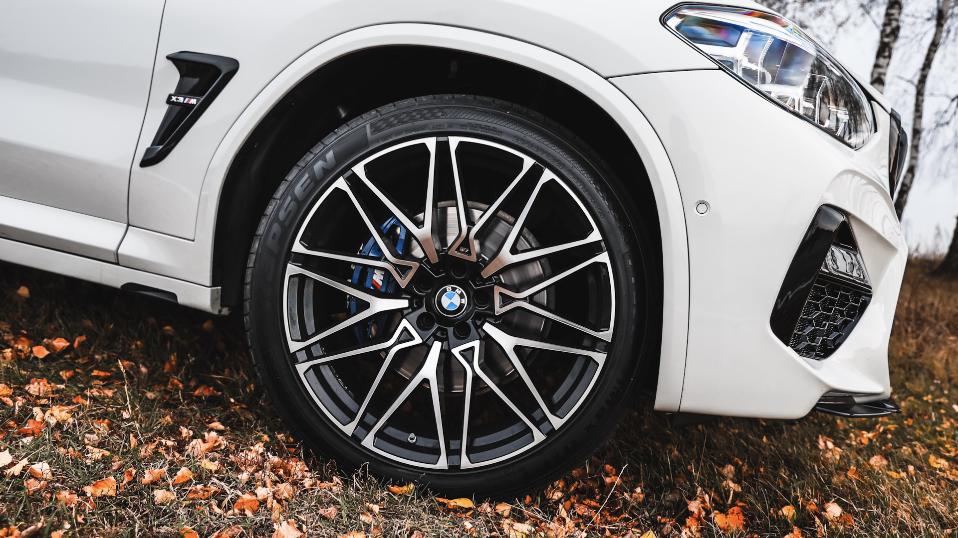 BMW X3 (G01) 3.0 дизельный 2021 | Ex3m на DRIVE2