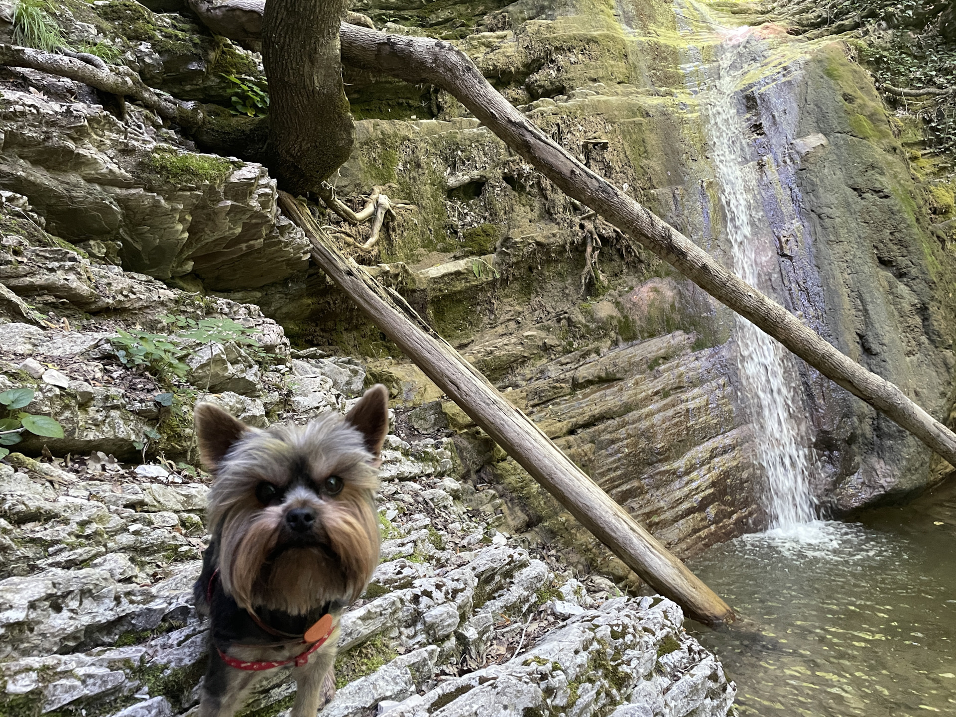 Отпуск лета 2024 — Lada 2101, 1,2 л, 1973 года | путешествие | DRIVE2