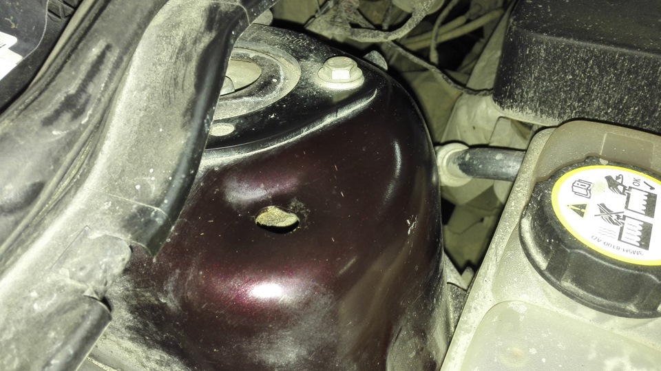 Заглушки от тойоты, чтоб было чуточку меньше грязи под капотом) — Ford ...