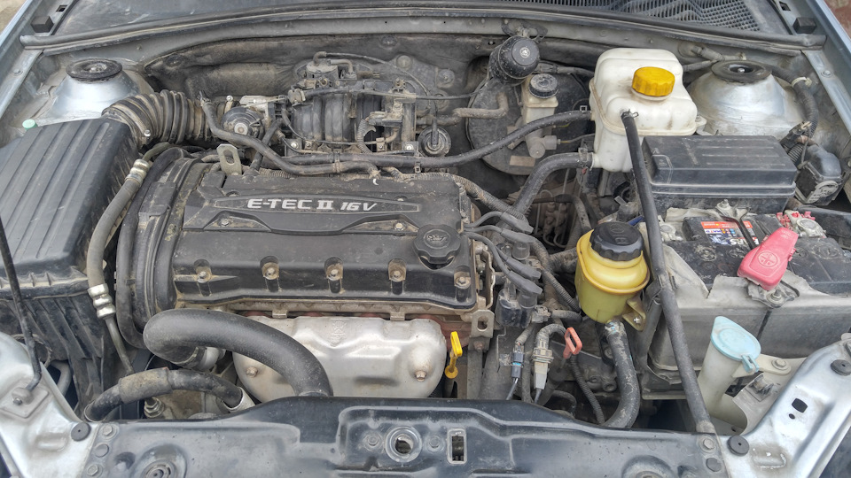 Мойка двигательного отсека — Chevrolet Lacetti Sedan, 1,6 л, 2012 года ...