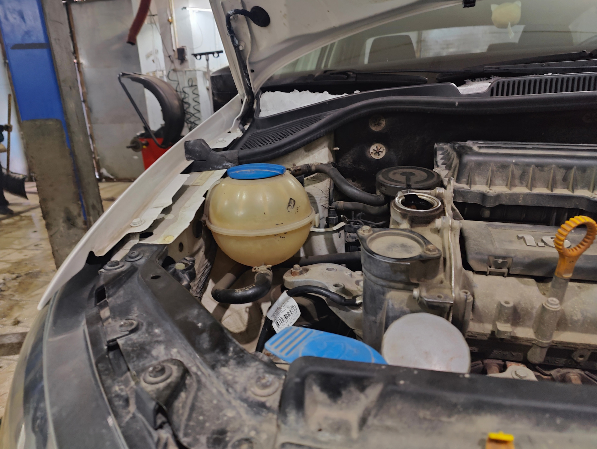 Замена антифриза. Sibiria Antifreeze G12+ Extreme Temperature ...