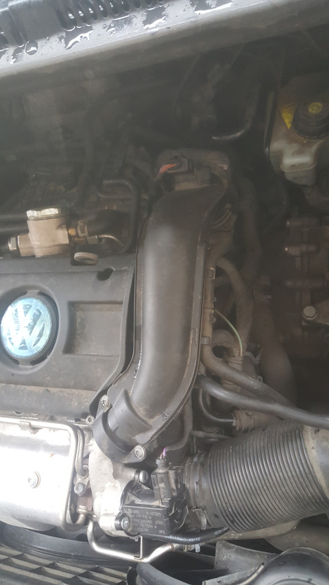 WHT003186 УПЛОТНИТЕЛЬНОЕ КОЛЬЦО/ VAG | Запчасти на DRIVE2