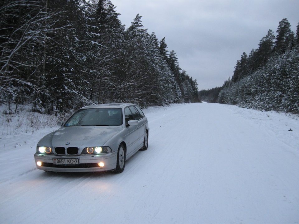 В своей стихии — BMW 5 series Touring (E39), 3 л, 2001 года | фотография | DRIVE2