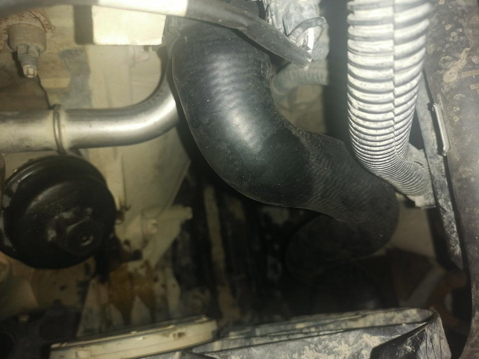 # 35 замена патрубка радиатора Gates — Opel Astra H, 1,6 л, 2010 года ...