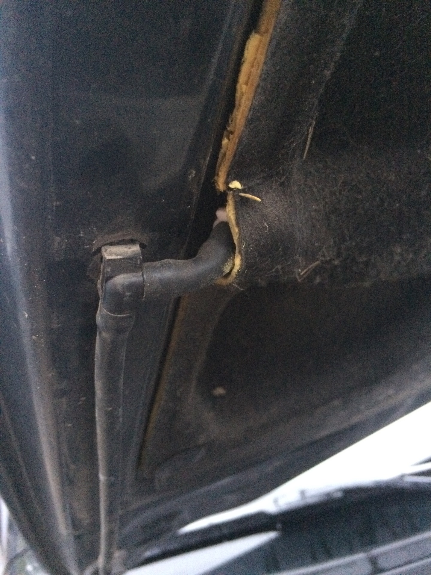 Клапан обратный с омывателя фар — Toyota Camry (XV30), 2,4 л, 2004 года ...