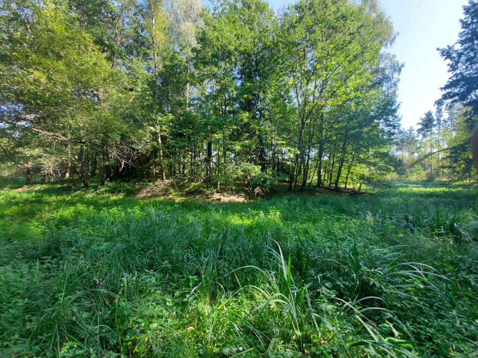 На природе — Subaru Forester (SJ), 2 л, 2014 года | покатушки | DRIVE2