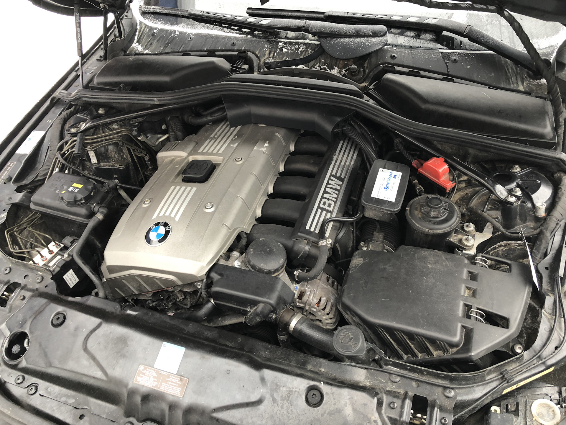 Плановое ТО — BMW 5 series (E60), 3 л, 2006 года | плановое ТО | DRIVE2