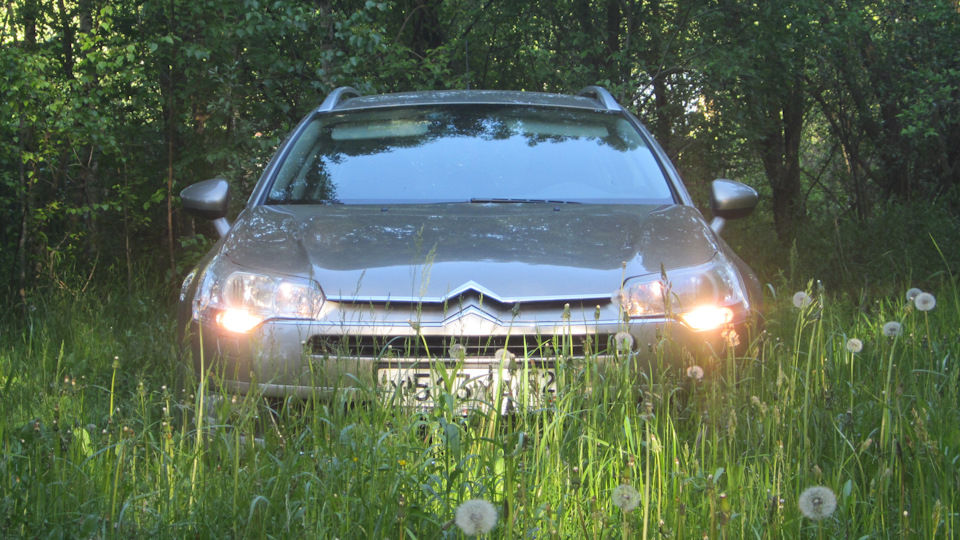 Питер! Нужна помощь! дополнение (запись с регика) — Citroen C5 (2G), 2 ...