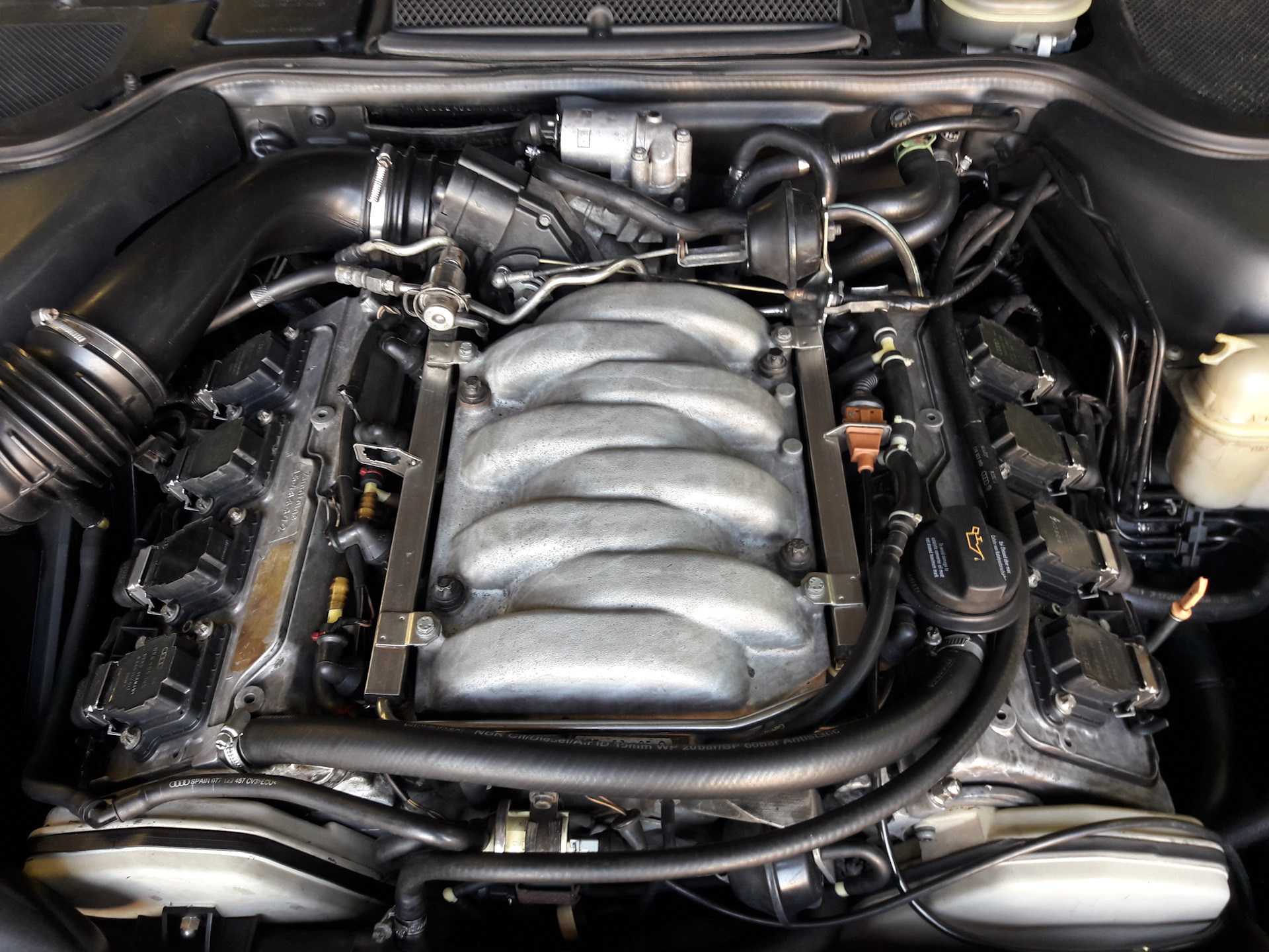 Сразу все за долгое время) — Audi S8 (D2), 4,2 л, 1998 года | своими ...