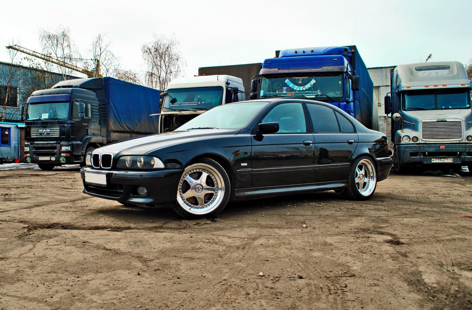 Установлены OZ futura 19 радиус. — BMW 5 series (E39), 3 л, 2002 года ...