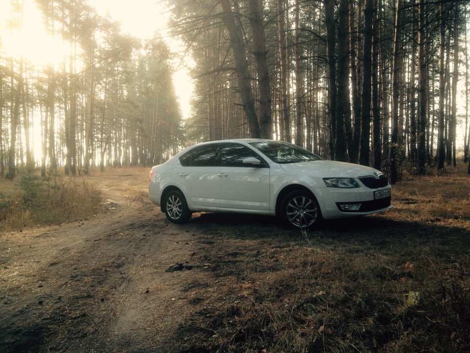 Запись от 9 ноября 21:47 — Skoda Octavia A7 Mk3, 1,2 л, 2014 года | покатушки | DRIVE2