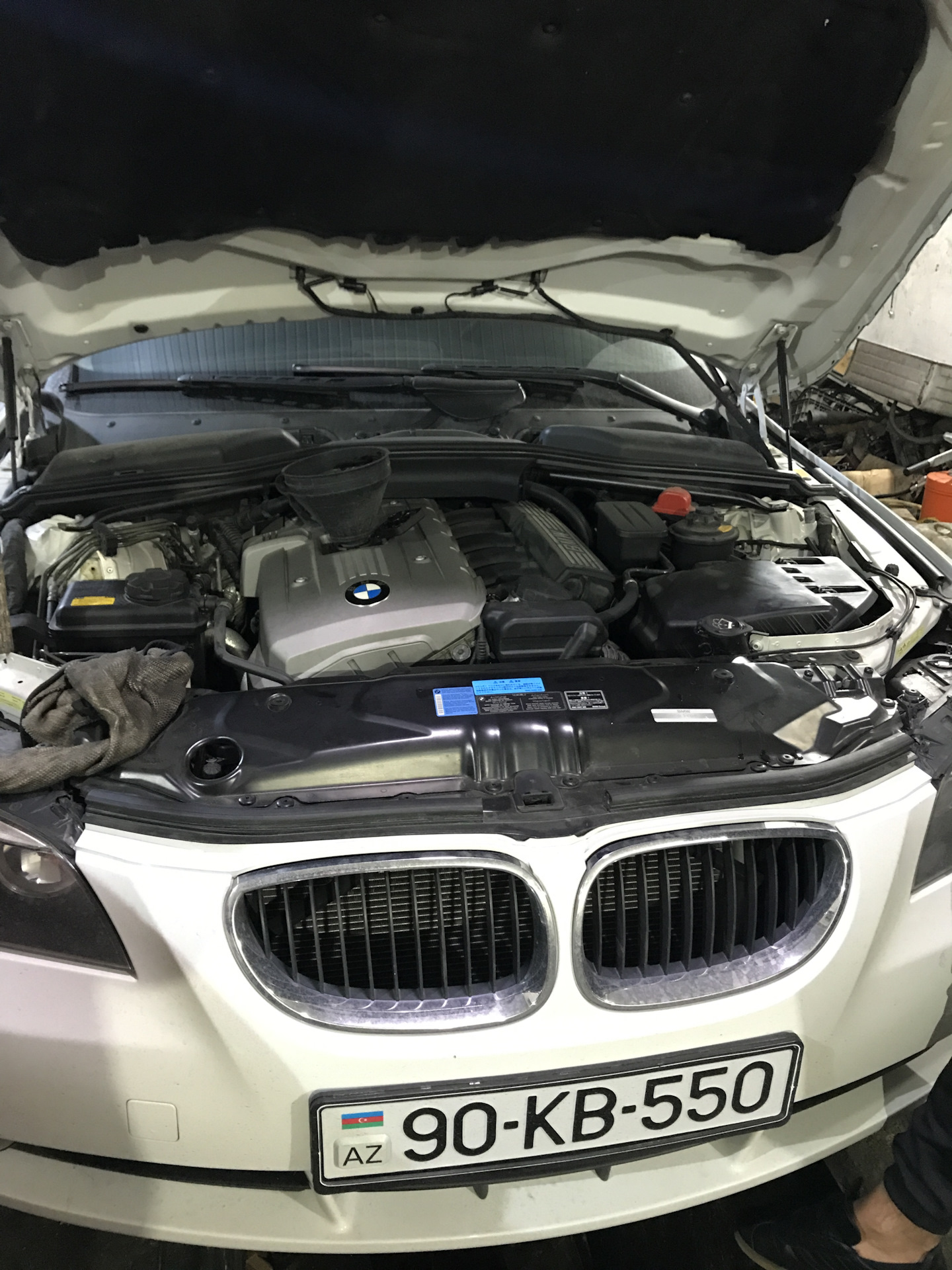 N52B25 замена моторного масла (2) — BMW 5 series (E60), 2,5 л, 2005 года | плановое ТО | DRIVE2