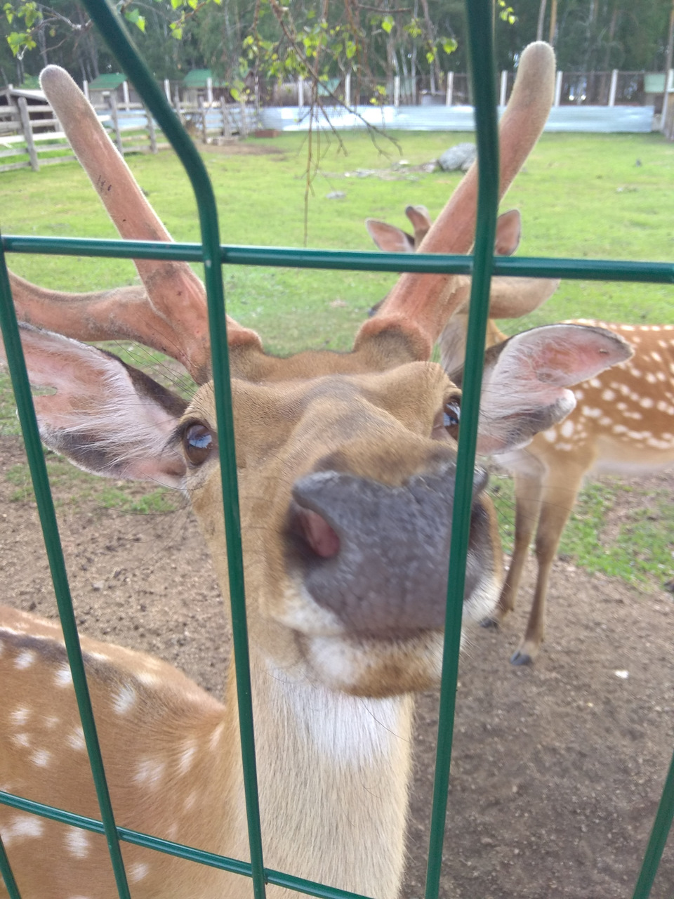 6RF827566 Ручка багажника Volkswagen с камерой VAG | Запчасти на DRIVE2