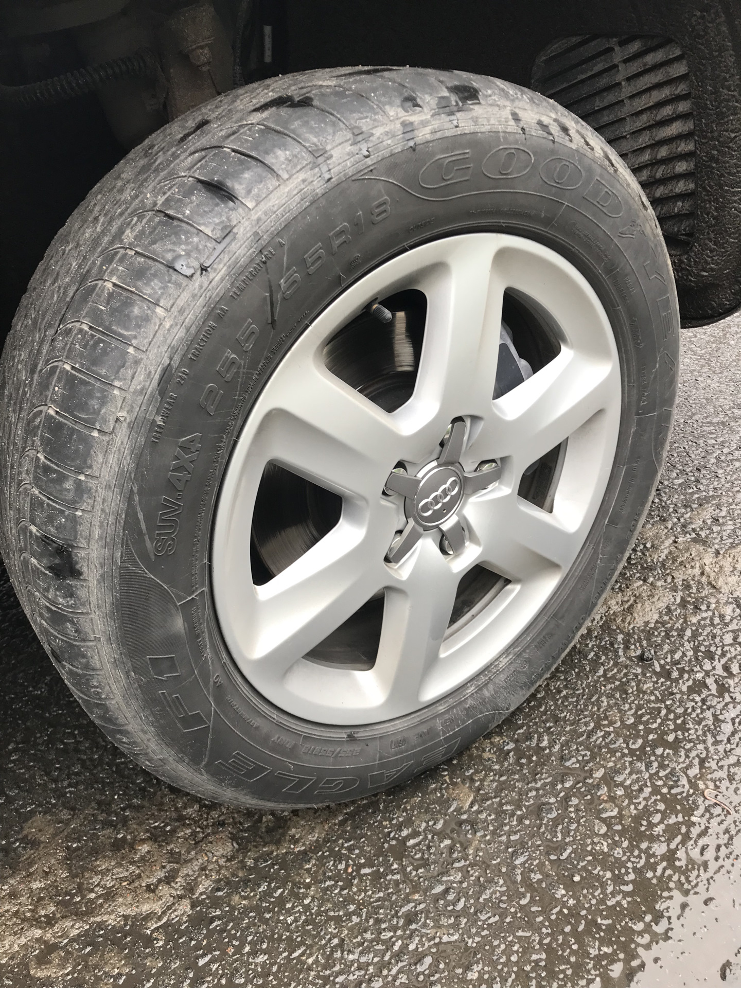 Голова, уши… главное хвост! — ГАЗ Газель, 2,3 л, 2002 года | своими ...