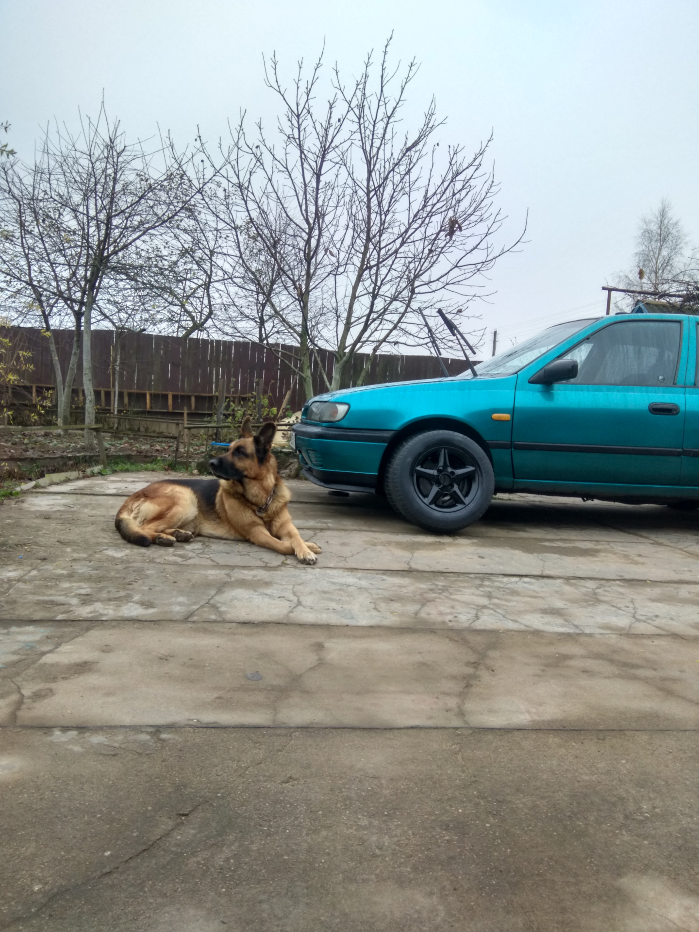 Диски на зиму — Nissan Sunny (N14), 1,4 л, 1995 года | колёсные диски ...