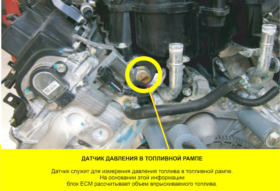 ТНВД и топливная система PATROL Y62 — Nissan Patrol (Y62), 5,6 л, 2012 ...