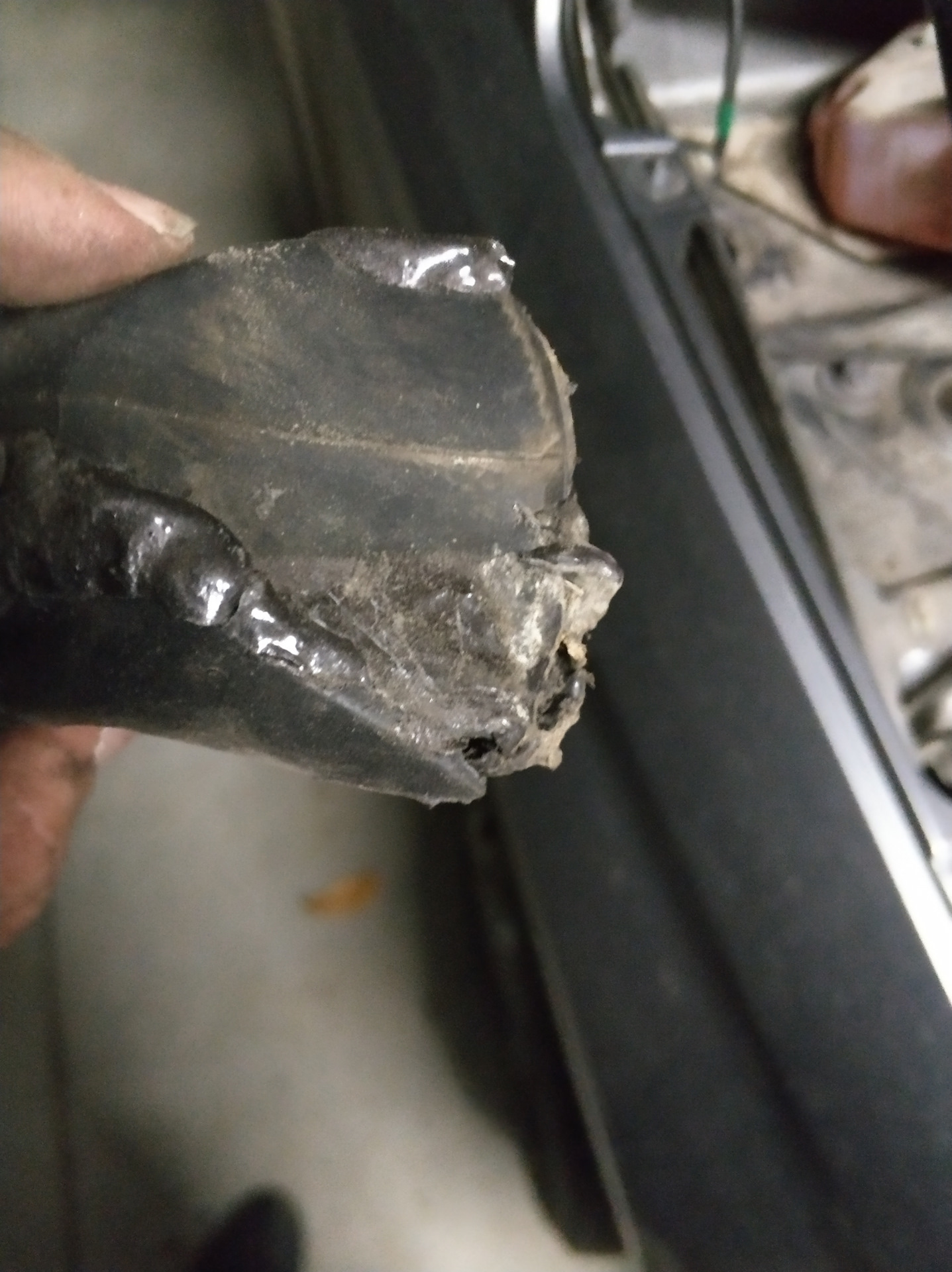 90-265 км/ч — Mercedes-Benz CLK 55 AMG (W208), 5,5 л, 2001 года ...