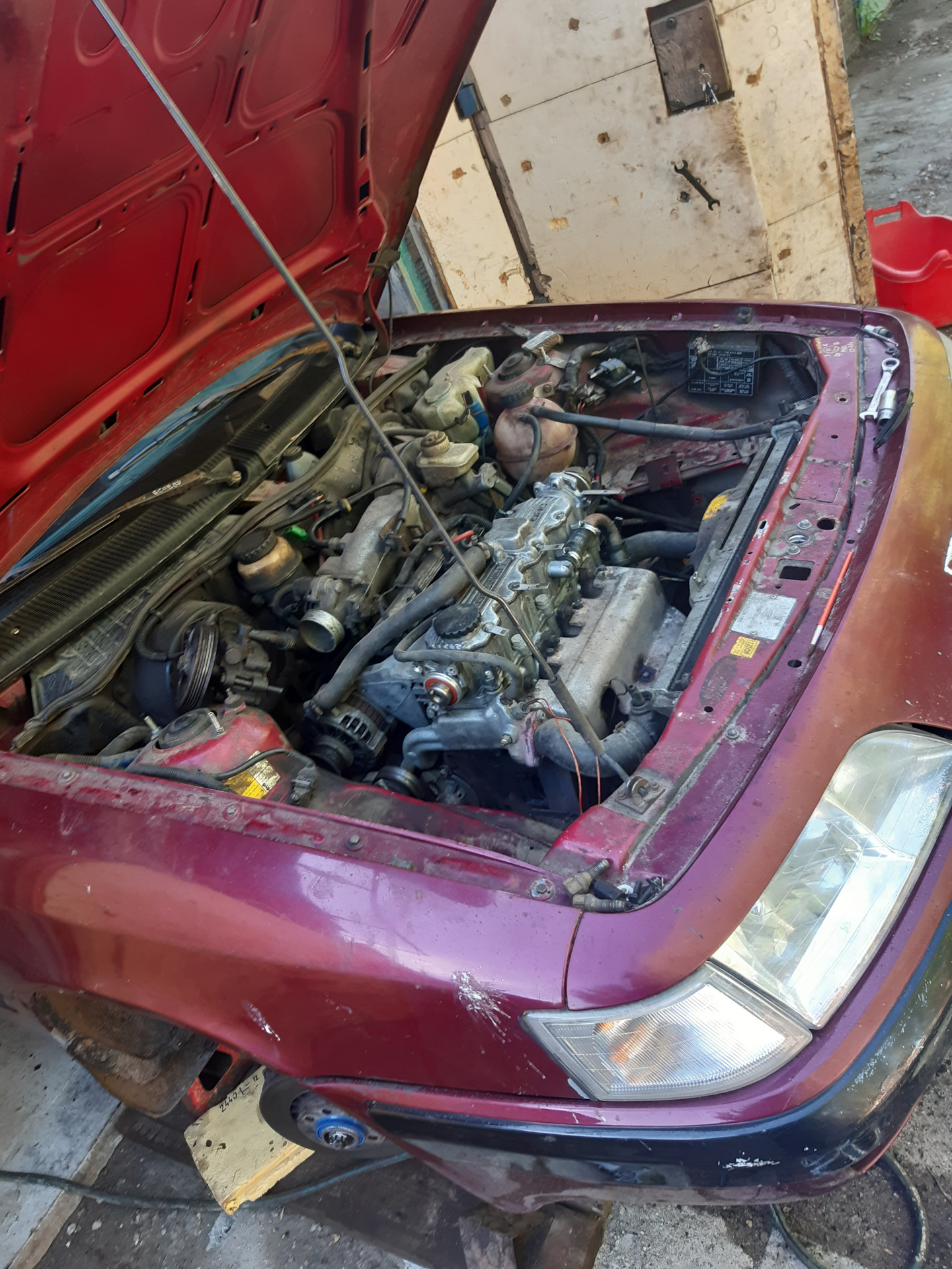 Она вернулась) — Daewoo Espero, 2 л, 1999 года | покупка машины | DRIVE2