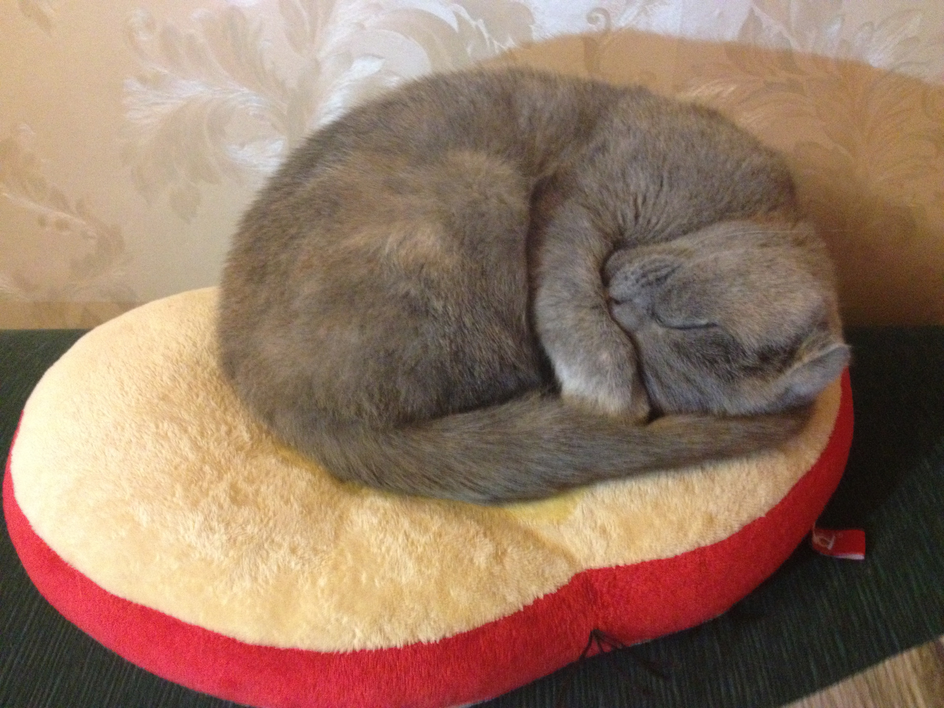 Пороги Rieger 2 — Opel Astra H GTC, 1,6 л, 2007 года | кузовной ремонт ...