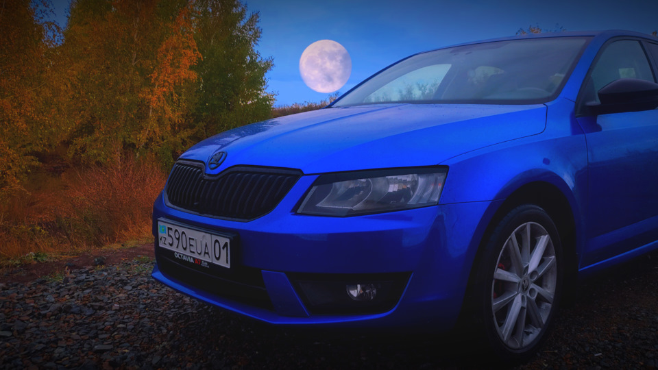 Skoda Octavia A7 Mk3 1.4 бензиновый 2014 | Shark на DRIVE2
