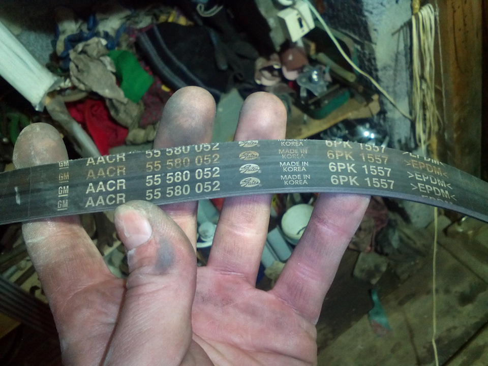 55580052 Ремень приводной Aveo T300 GM | Запчасти на DRIVE2