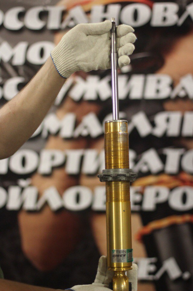 REACTION Racing ™: отзывы, цены, фото