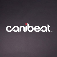 Springless — DRIVE2