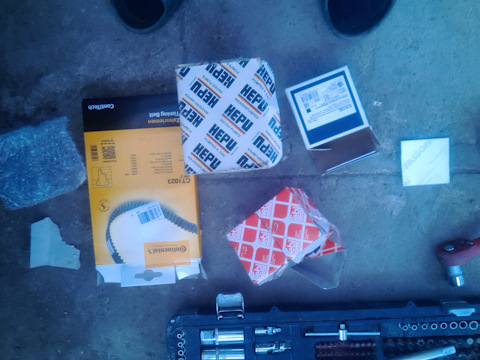 CT1023 РЕМЕНЬ ГРМ CONTITECH | Запчасти на DRIVE2