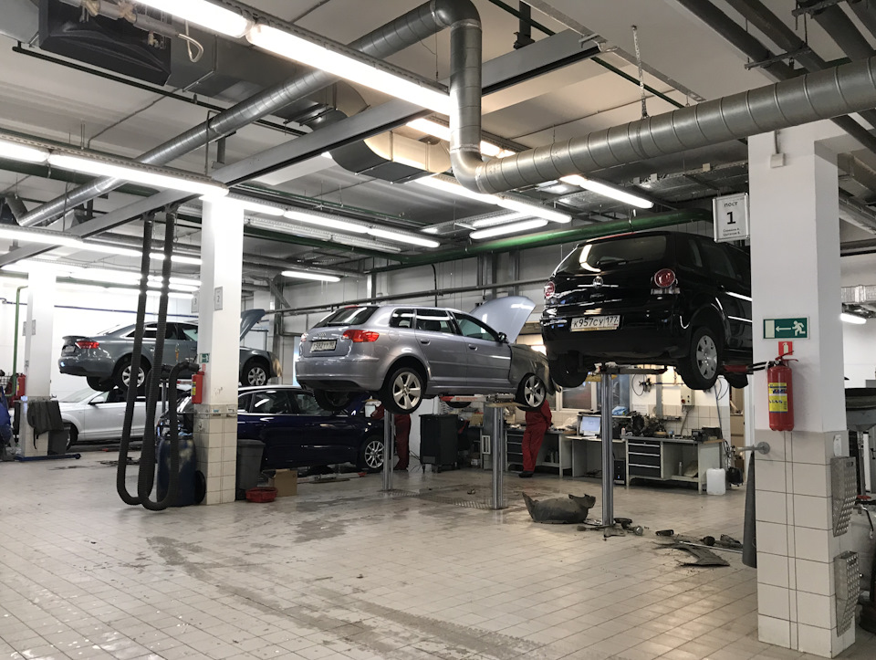 Замена поликлинового ремня и комплектующих — Audi A3 Sportback (8PA), 1 ...