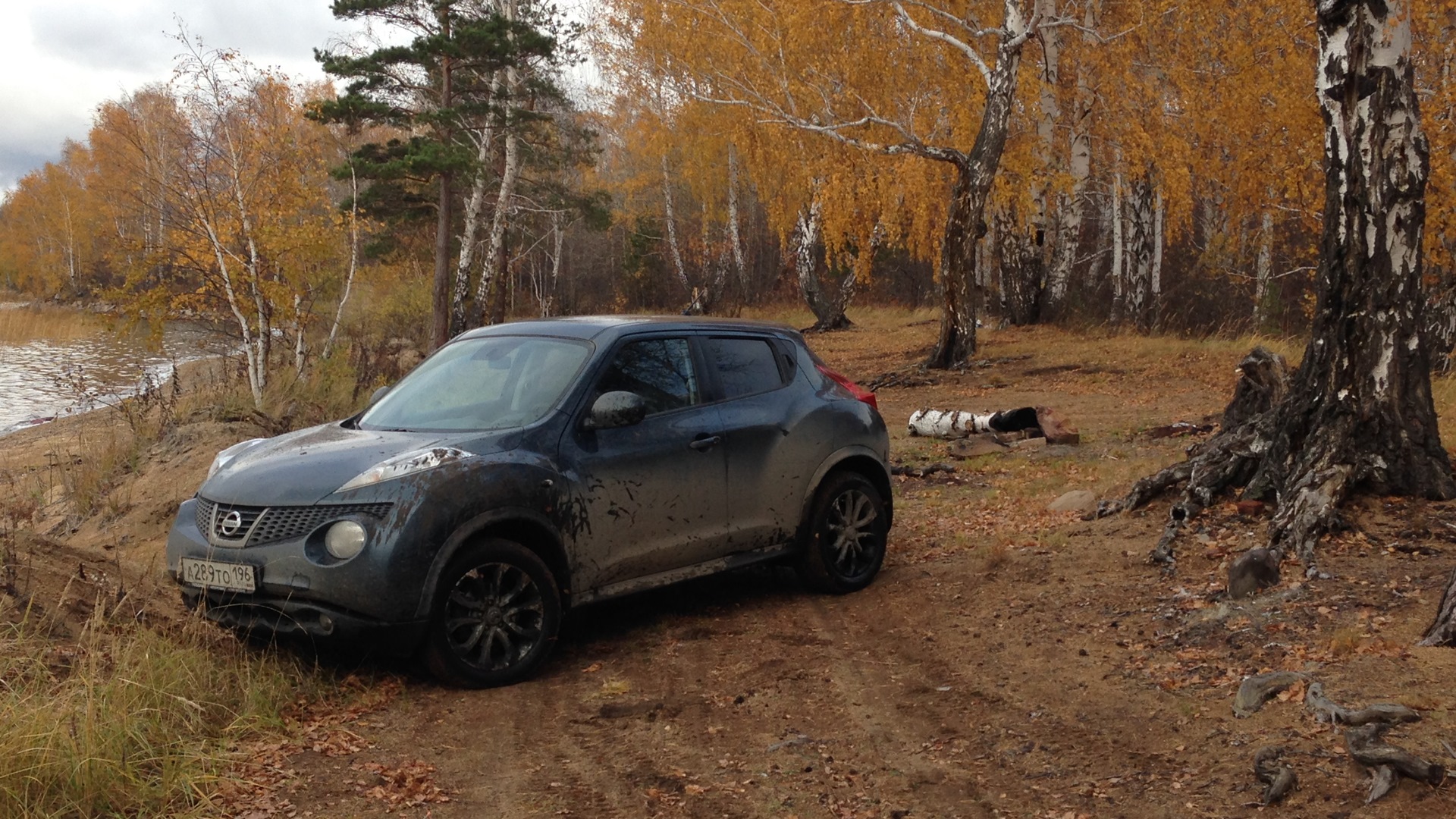 Nissan Juke (1G) 1.6 бензиновый 2013 | ""ДЖУКЗИЛЛА"" на DRIVE2