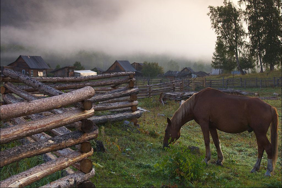 Чистая жизнь… — DRIVE2